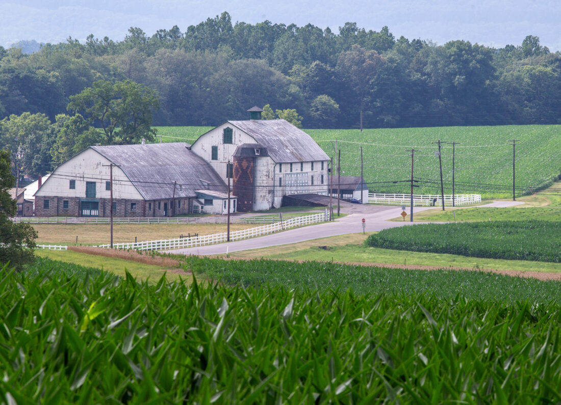 Nearly 100-year-old County Farm could prepare future farmers | News ...
